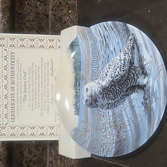 Knowles | Art | The Snowy Owl Birds Of Prey Knowles Collection Plate ...
